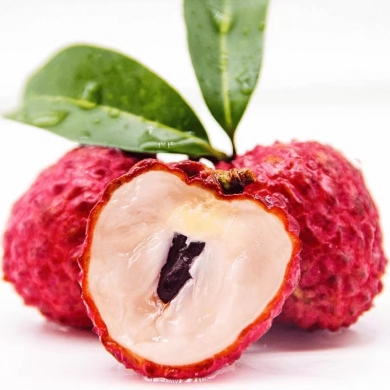 Xian Jin Feng Lychee (仙进奉荔枝) - Exotic Tree Seller