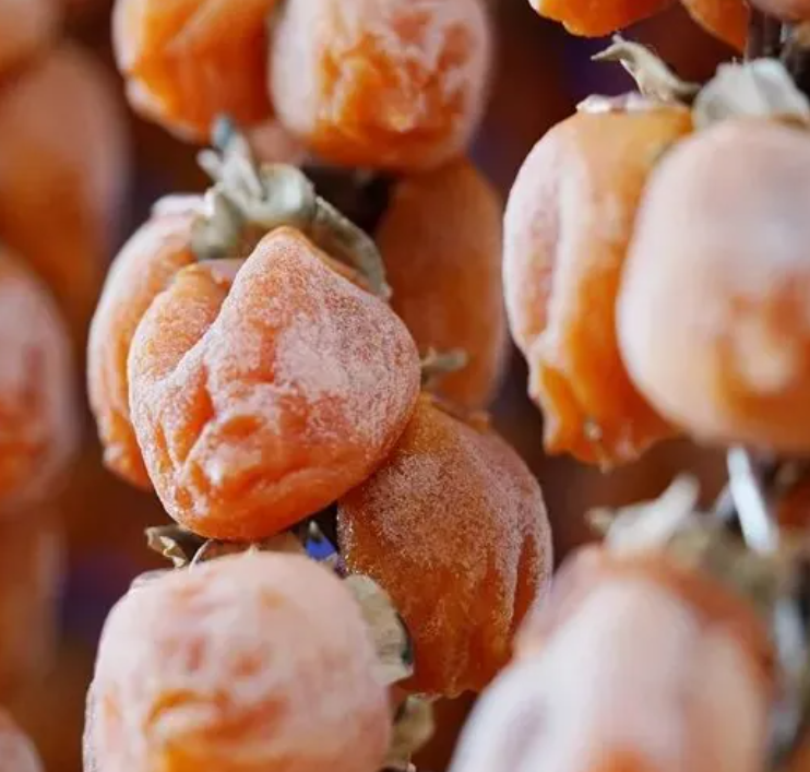 Fuping Pointed Persimmon (富平尖柿) - Exotic Tree Seller