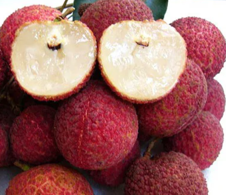 Seedless Nandao Lychee (无核南岛荔枝) - Exotic Tree Seller