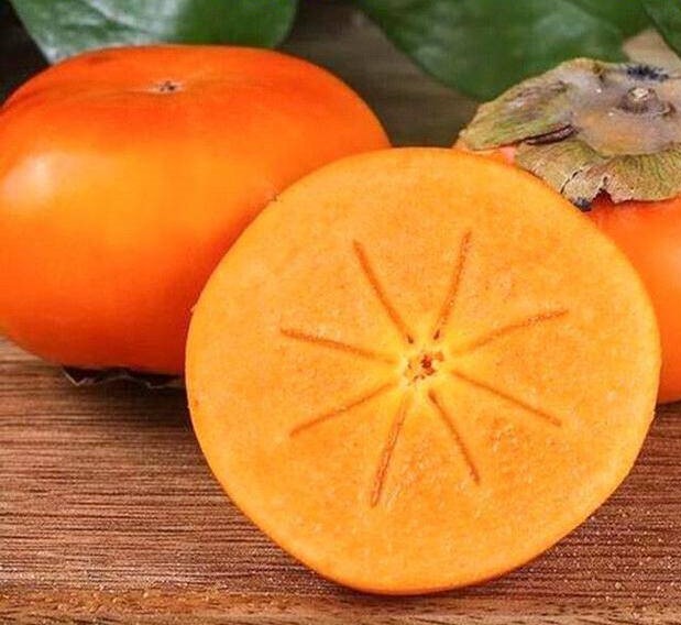 Seedless Square Persimmon (无核方柿) - Exotic Tree Seller