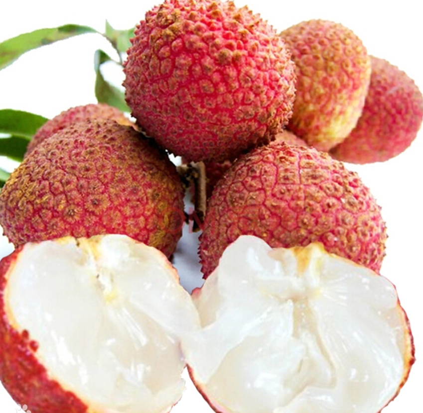 Seedless A4 Lychee (无核A4荔枝) - Exotic Tree Seller