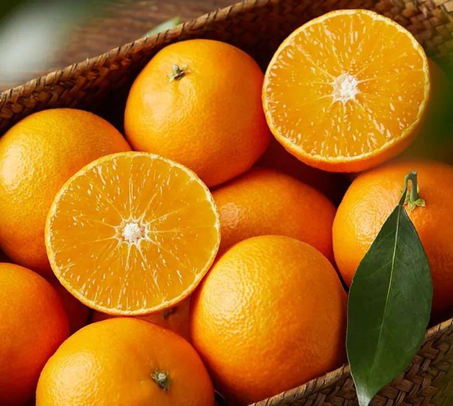 Ehime 28 Orange (爱媛28红美人柑橘) - Exotic Tree Seller