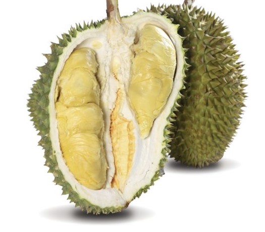 D160 Tekka Durian (竹脚榴莲) - Exotic Tree Seller